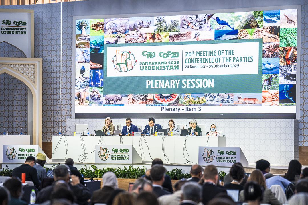 CMS at CITES COP20 - Samarkand 2025 | Convention on the Conservation of ...