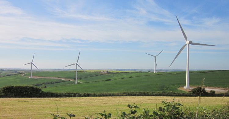 Opinion: Renewable Energies – a Double-Edged Sword | Convention on the ...
