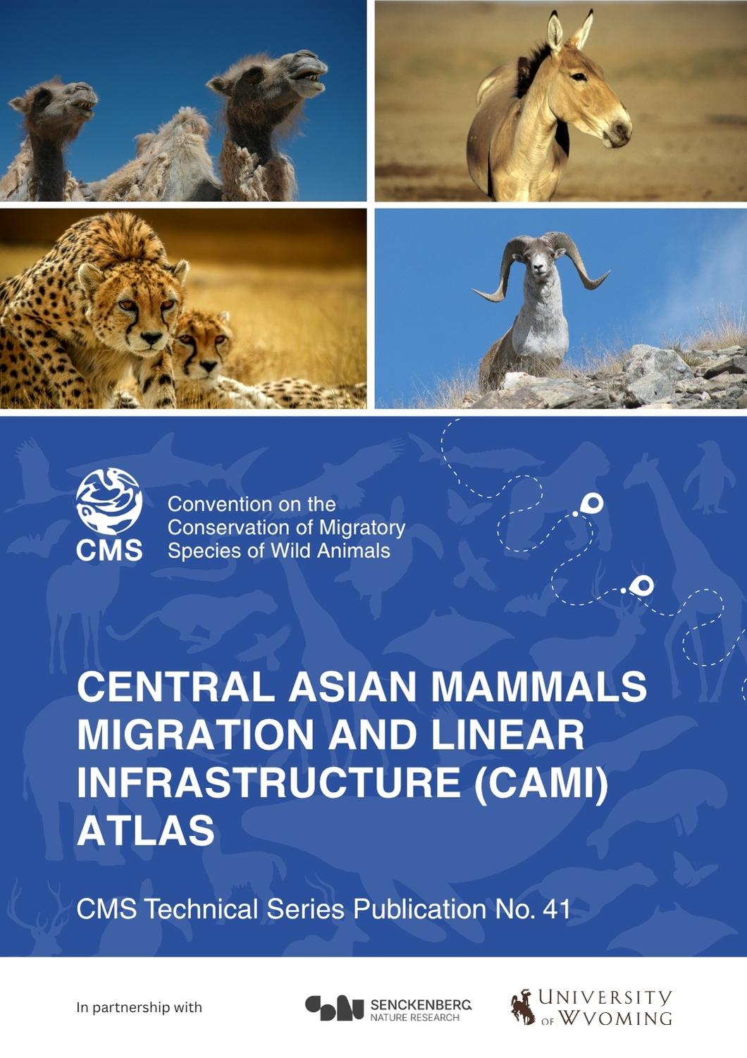 Central Asian Mammals Migration and Linear Infrastructure Atlas - CMS ...