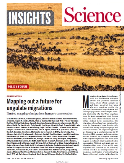 Global Initiative on Ungulate Migration | CMS